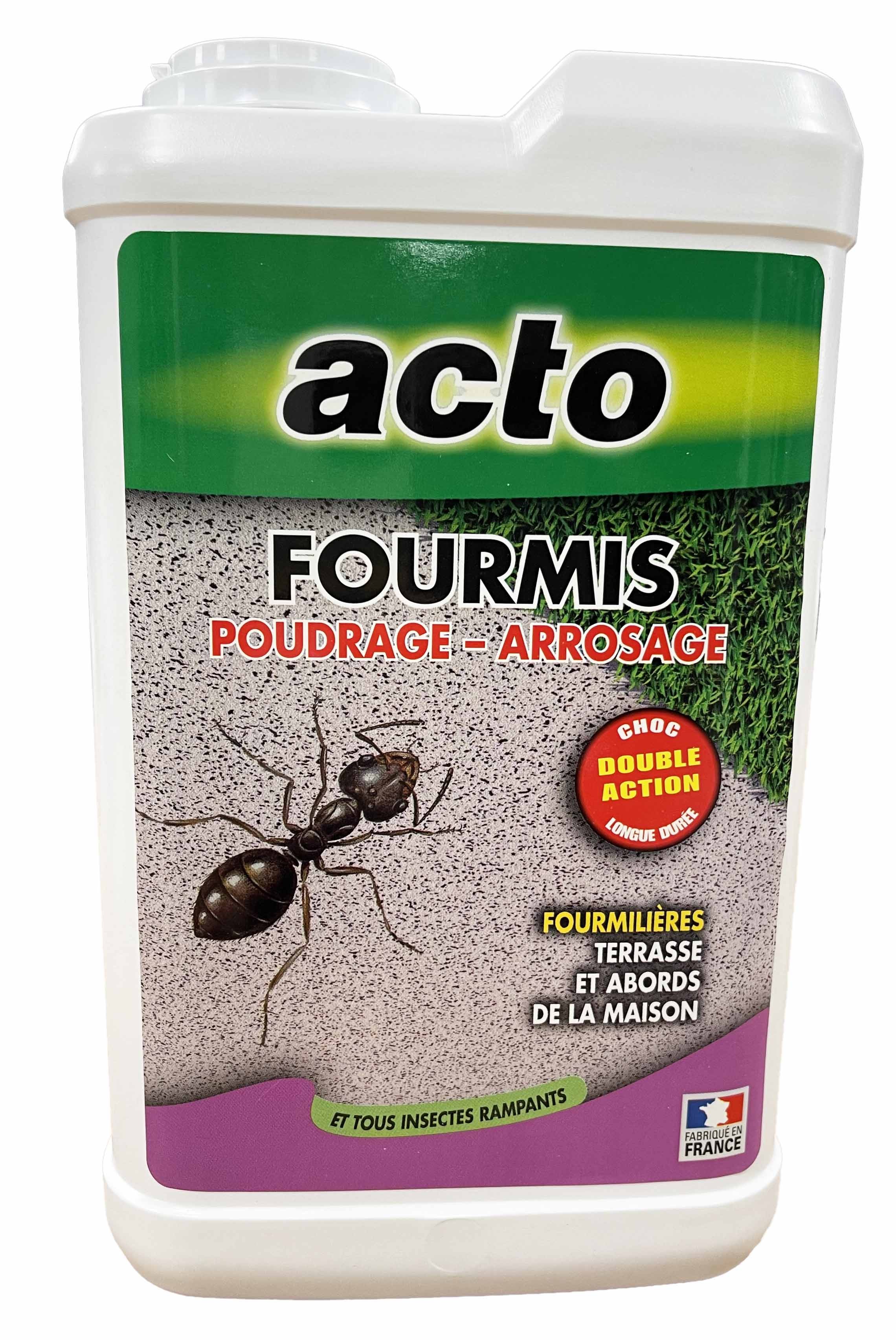 Piège À Fourmis Maison | Ventana Blog